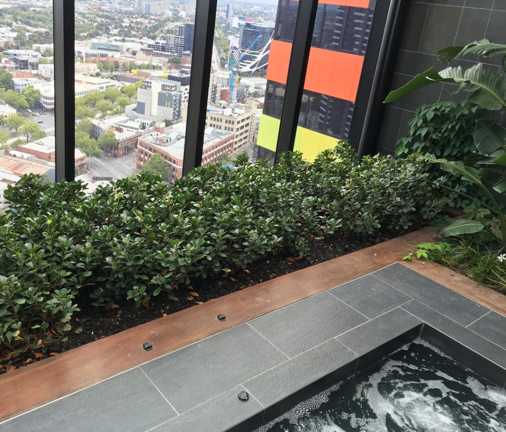 Swanston Square - Sky Garden - Fytogreen Australia