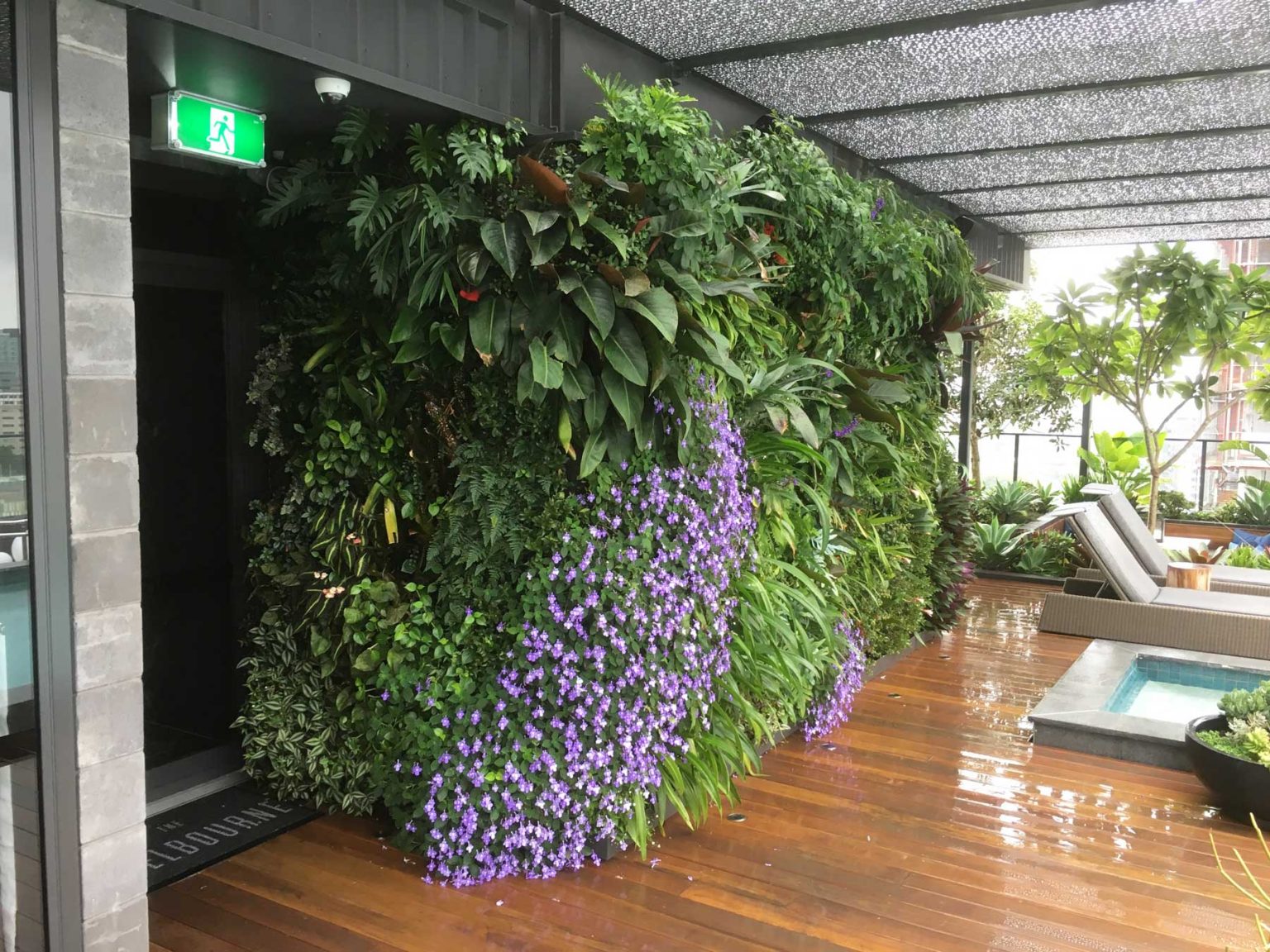 Green Walls & Vertical Gardens | Fytogreen Australia