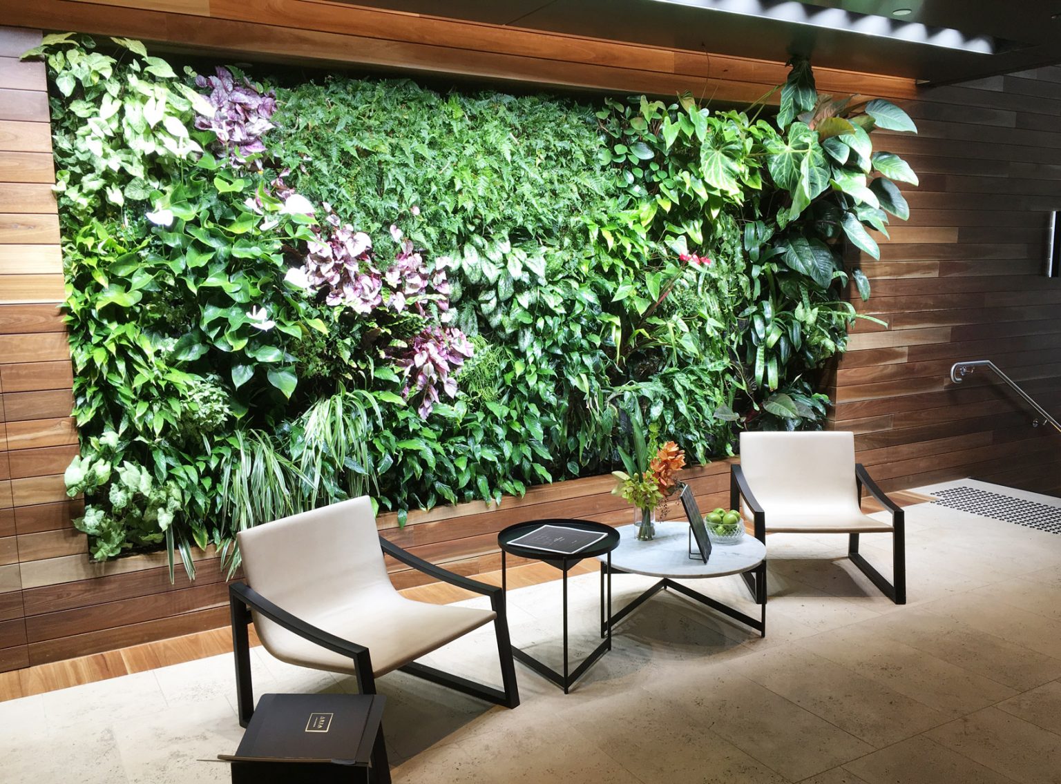 Green Walls & Vertical Gardens | Fytogreen Australia