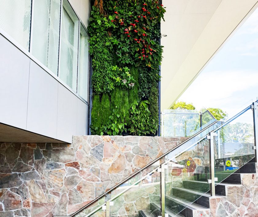 Residential Green Wall - Fytogreen