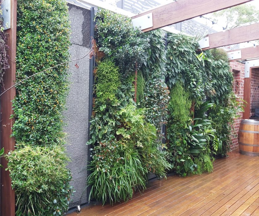 Green Walls & Vertical Gardens | Fytogreen Australia
