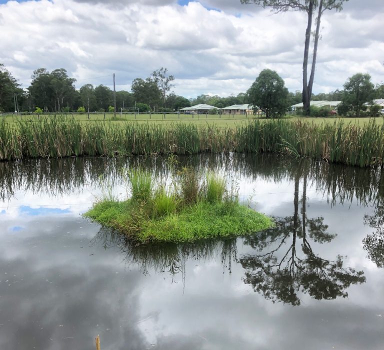 Floating Gardens / Floating Wetlands - Fytogreen Australia