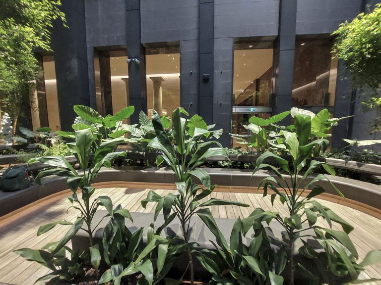 101 Collins - Atrium Roof Garden - Fytogreen