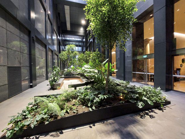 101 Collins - Atrium Roof Garden - Fytogreen