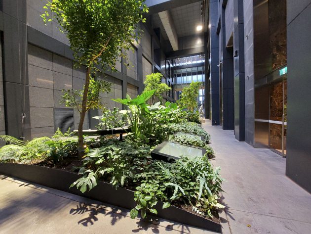 101 Collins - Atrium Roof Garden - Fytogreen
