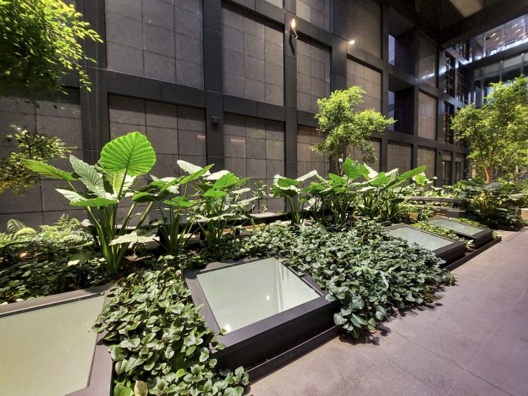 101 Collins - Atrium Roof Garden - Fytogreen
