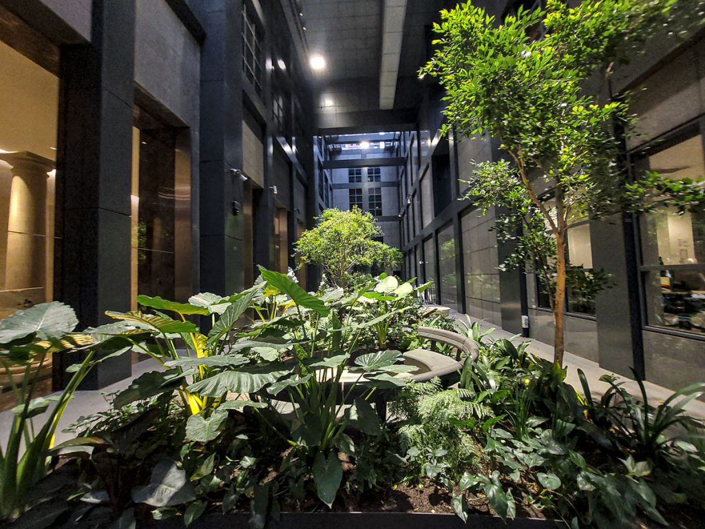 101 Collins - Atrium Roof Garden - Fytogreen