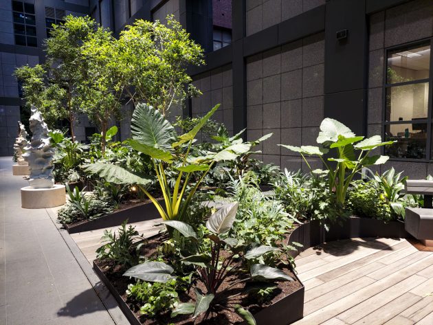 101 Collins - Atrium Roof Garden - Fytogreen