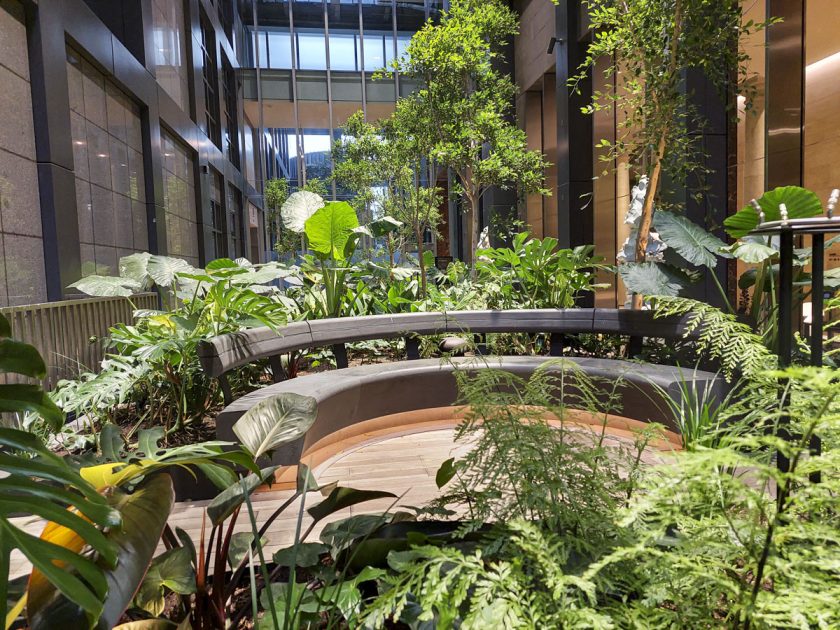 101 Collins - Atrium Roof Garden - Fytogreen