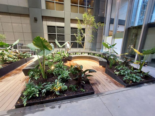 101 Collins - Atrium Roof Garden - Fytogreen