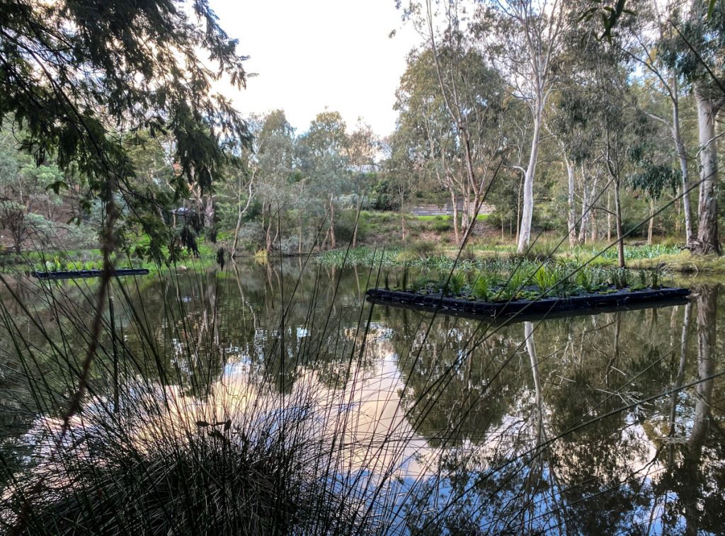 Alphington Wetlands - Floating Gardens - Fytogreen