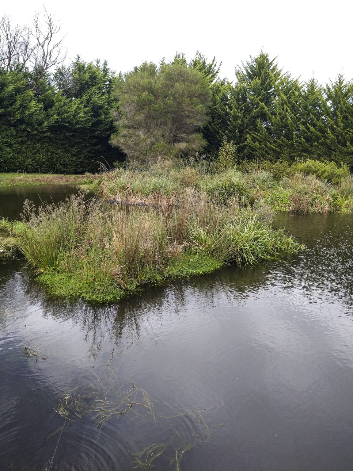 Floating Gardens / Floating Wetlands - Fytogreen Australia