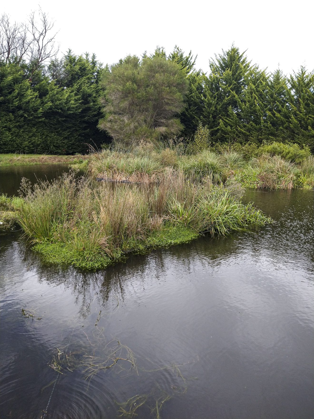 Floating Gardens / Floating Wetlands - Fytogreen Australia