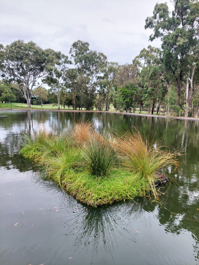 Floating Gardens / Floating Wetlands - Fytogreen Australia