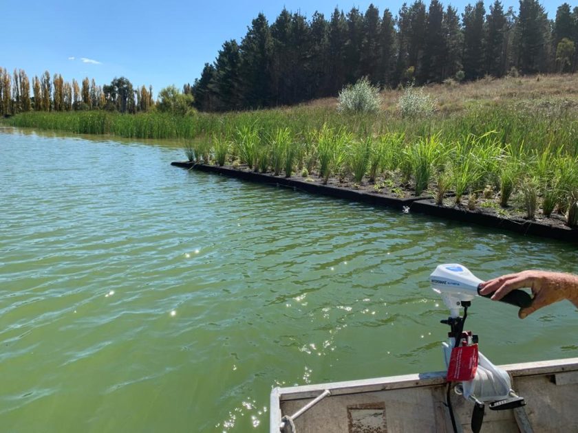 Floating Gardens / Floating Wetlands - Fytogreen Australia