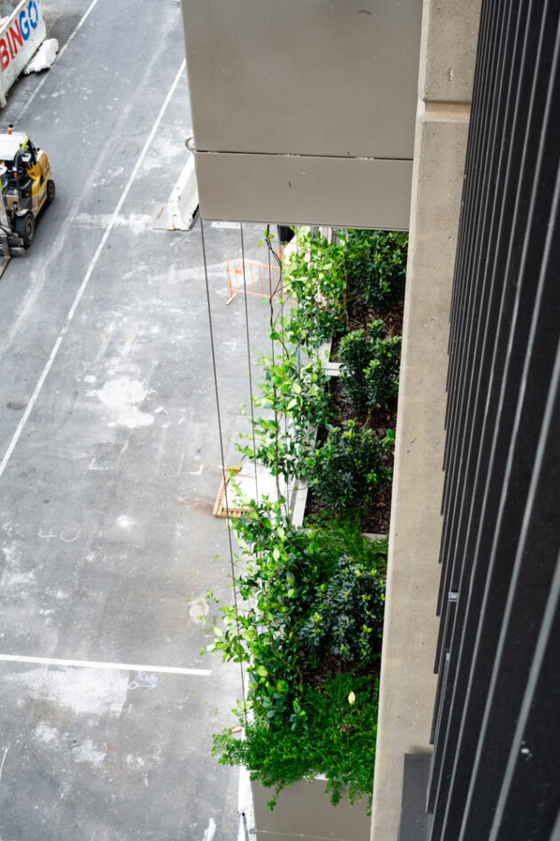 Green Facades & Planter Boxes - Fytogreen Australia