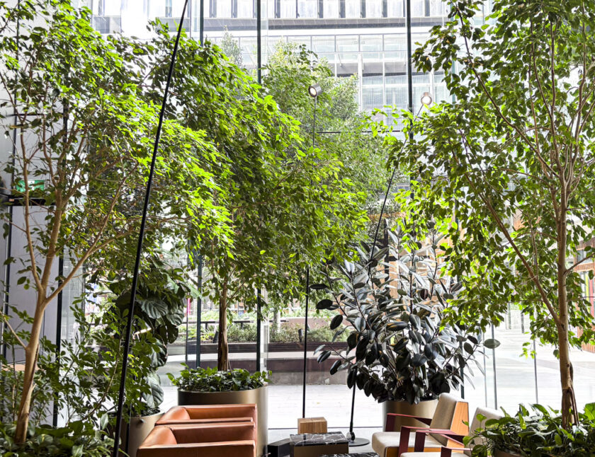Flinders Gate - Atrium - Fytogreen