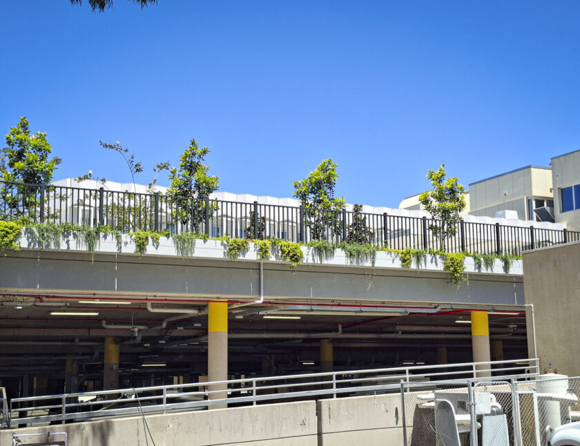 Flinders Gate - Atrium - Fytogreen