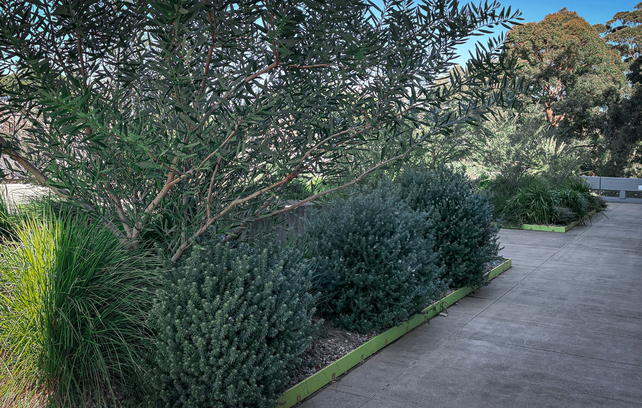 Sky Park, UNSW - Fytogreen