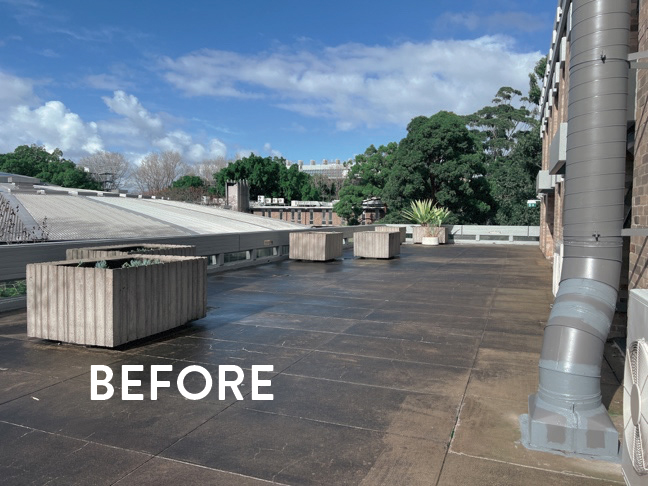 Sky Park, UNSW - Fytogreen